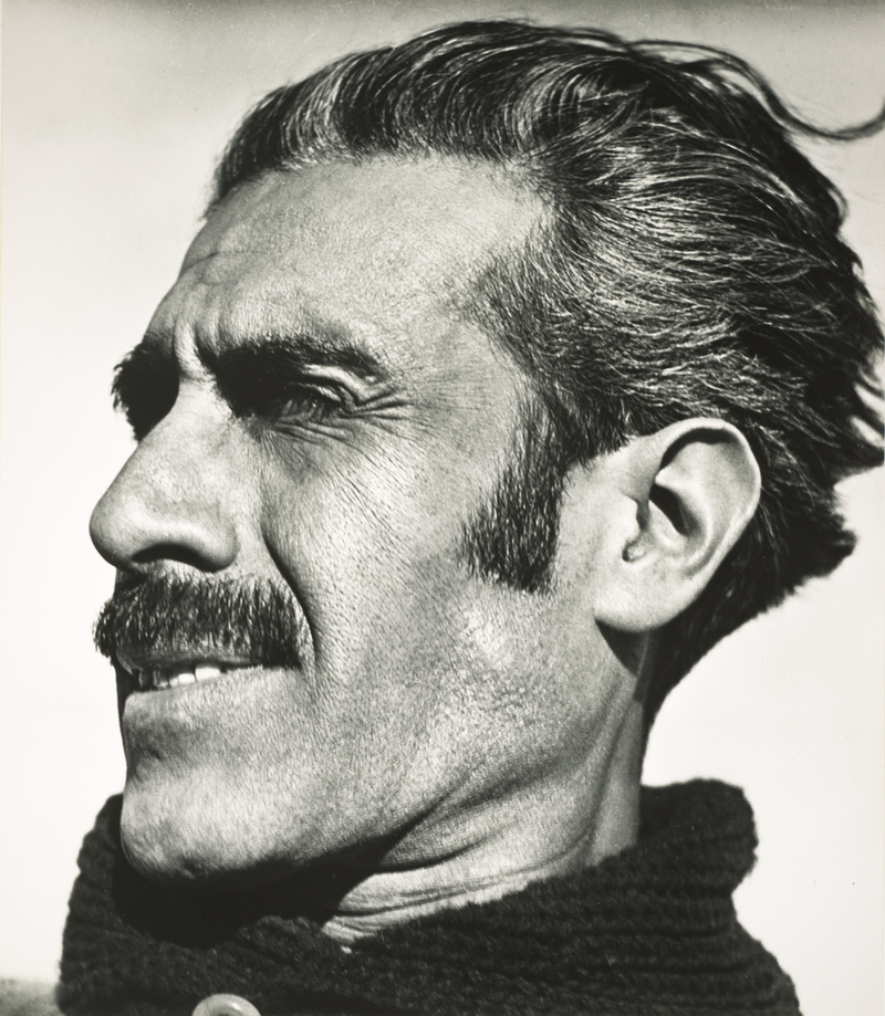 Portrait of a General